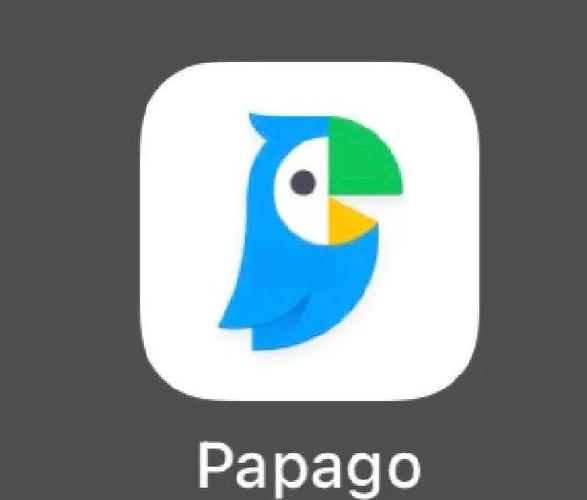 papago官网下载最新版安卓图标