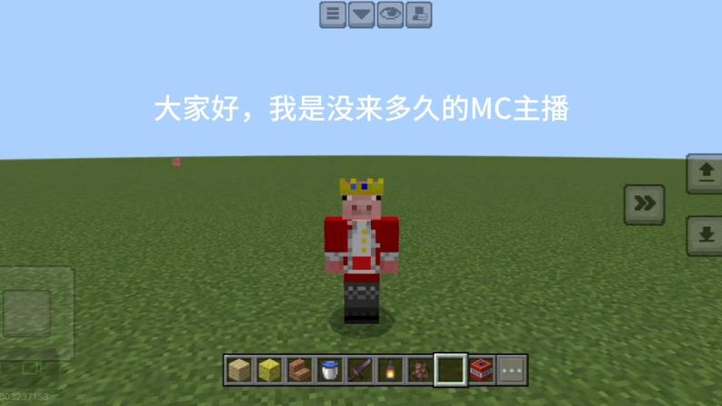 我的世界主播的皮肤的名字叫什么图标