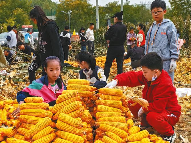 秋天收获的农作物图标