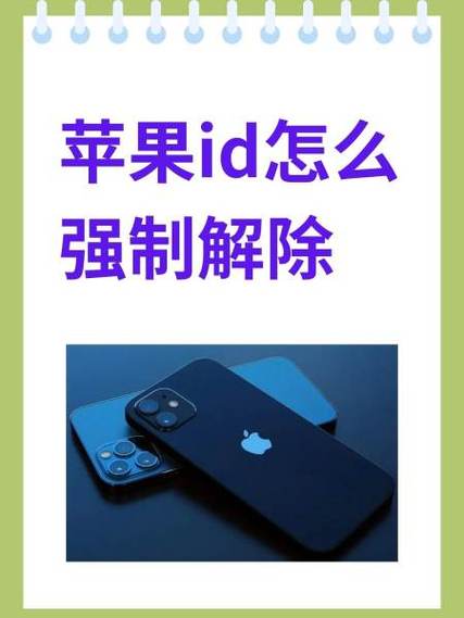 捡到的苹果手表强制清除id图标