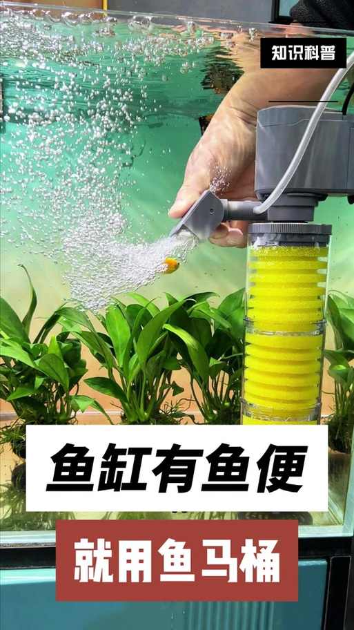 鱼缸有鱼屎怎么清理图标