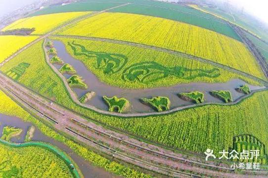油菜花村庄红包版图标