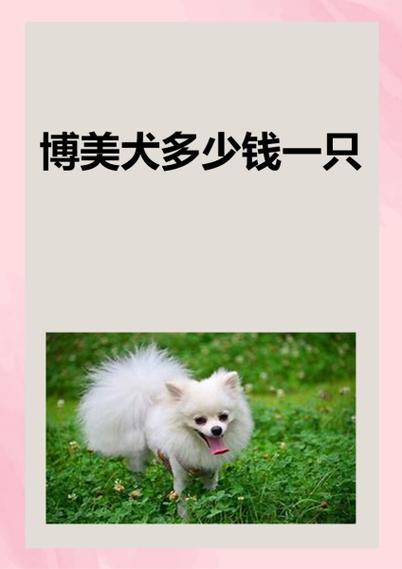 狗狗回血繁殖公式表图标