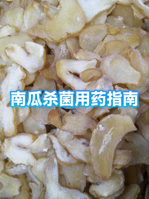 南瓜的不良反应有哪些图标