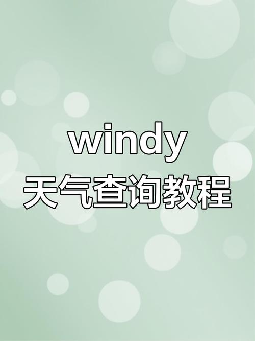 windy软件怎么用图标