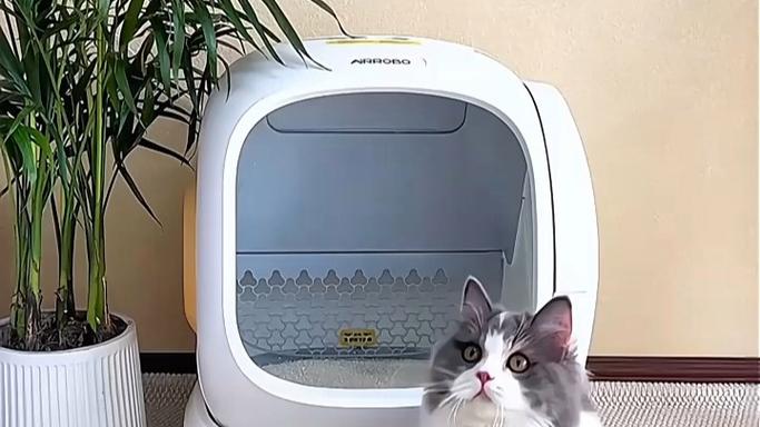 猫砂放客厅正确位置图标