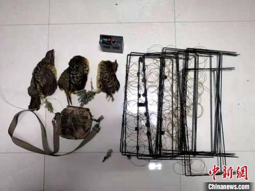 野鸡叫声 诱捕图标