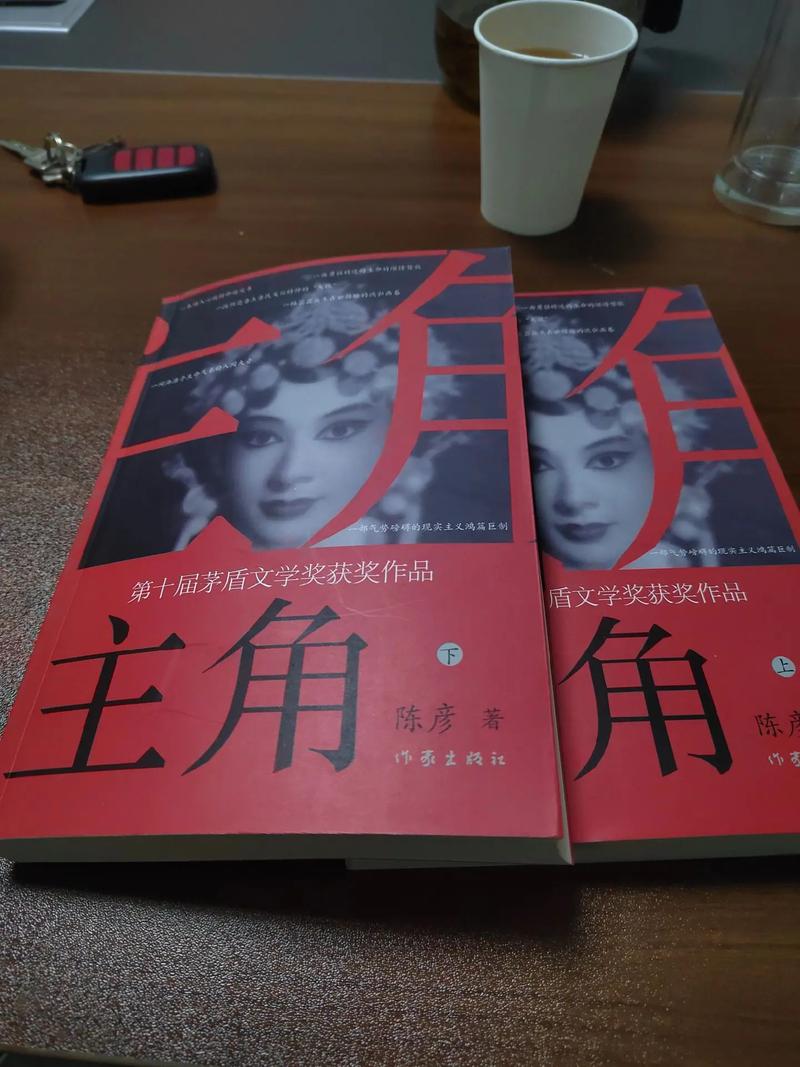 主角叫叶枫的透视小说图标