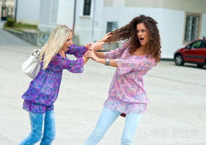 国外两女人打架视频截图
