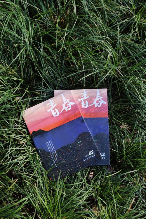 《疯狂阅读·青春卷》截图