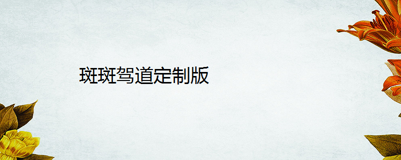 斑斑驾道定制版截图