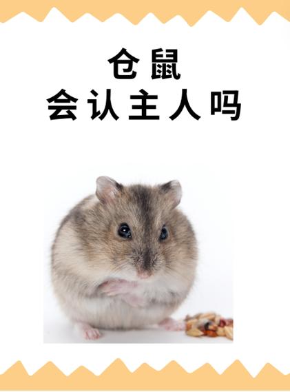 仓鼠养久了会认主人吗图标