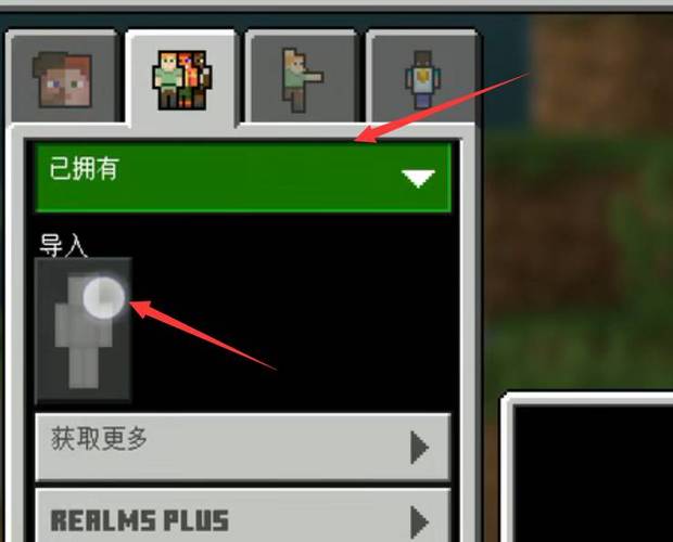 mc国际服怎么导入皮肤图标