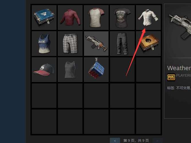 PUBG雪花直装v3.0图标