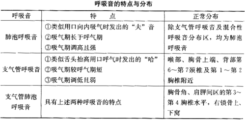 呼吸音粗与干啰音的区别图标
