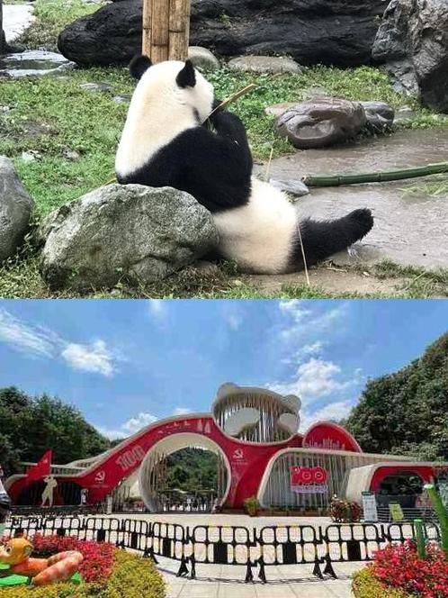 熊猫乐园景点介绍截图
