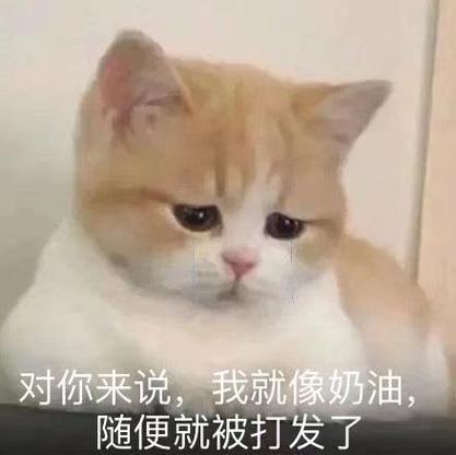 奶油表情包图标