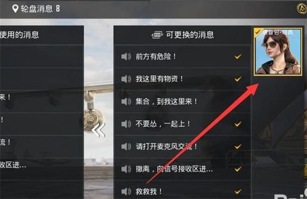 ipad玩和平精英开语音声音就变小图标