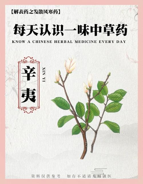 辛夷花打粉后咋服用