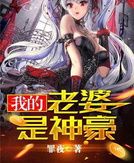 我的老婆是神豪图标