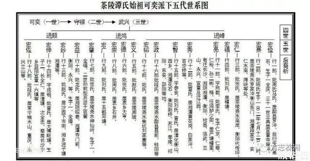 千年望族最厉害三个姓氏截图