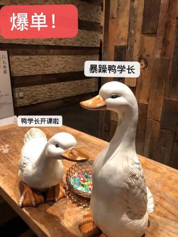 鸭学长开课啦