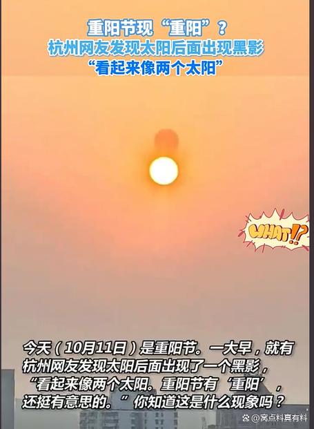 两个太阳打一数缩略图