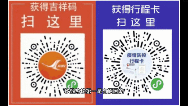 动态码截图