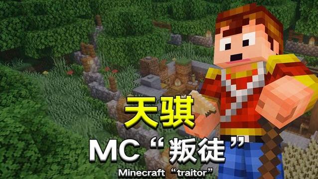 天骐我的世界空岛战争2