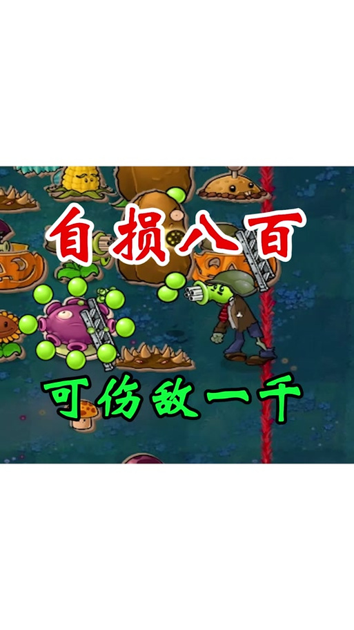 猪哥解说植物大战僵尸毒门绝技缩略图
