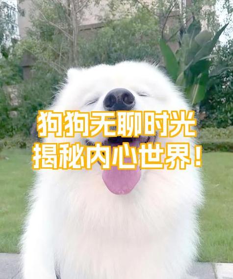 无聊时可以做哪些事情图标
