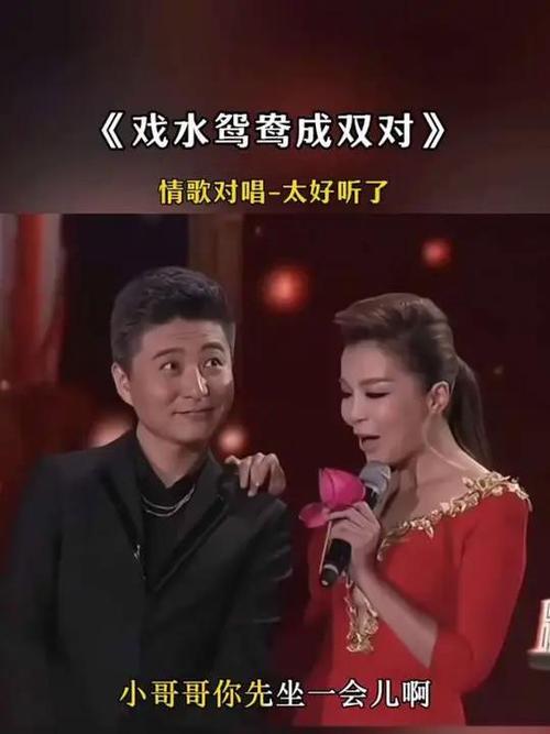 男女情歌对唱歌词图标