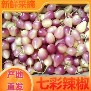 粉红的小辣椒经典版图标
