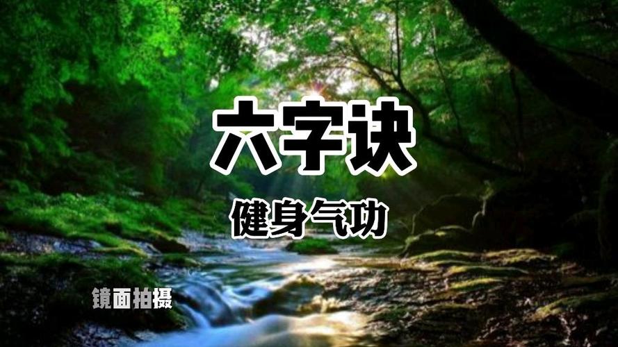 健身气功六字诀全套完整演示图标