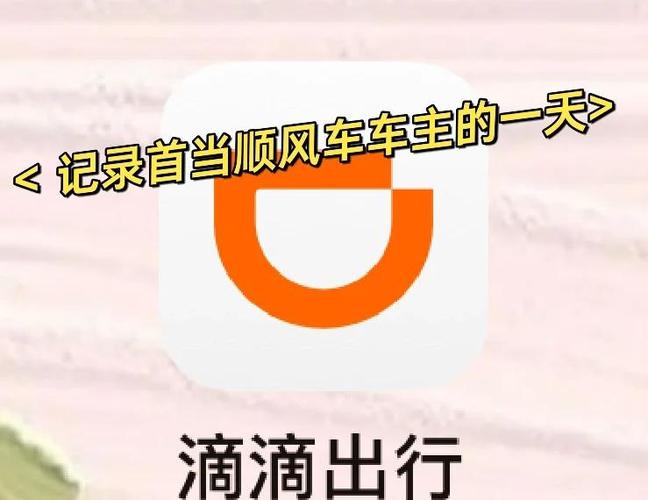 开顺风车一天能赚多少钱截图