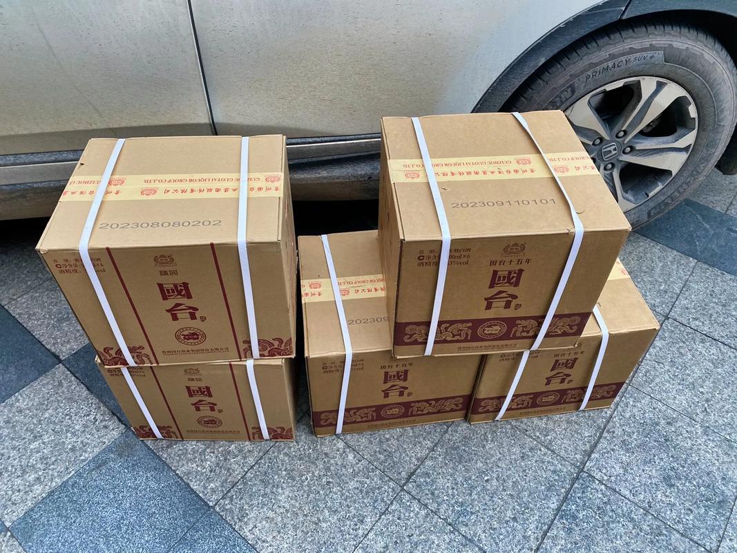 国体直装2.9.3图标