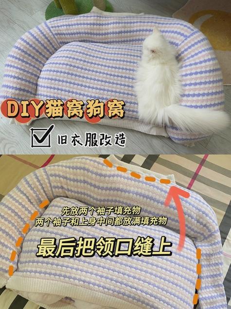 猫睡过的衣服会有事吗截图