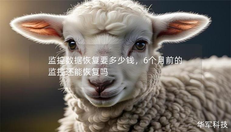 6个月前的监控还能恢复吗图标