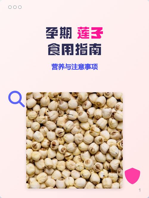 孕妇能吃莲子吗图标