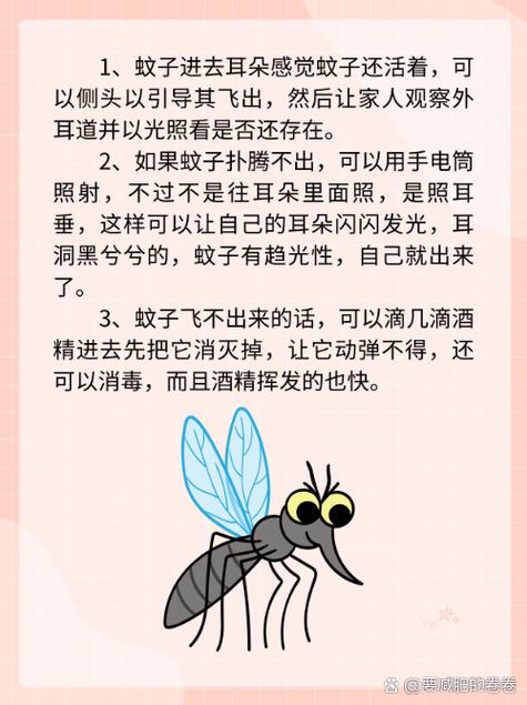 一个活蚊子进耳朵里了咋办图标
