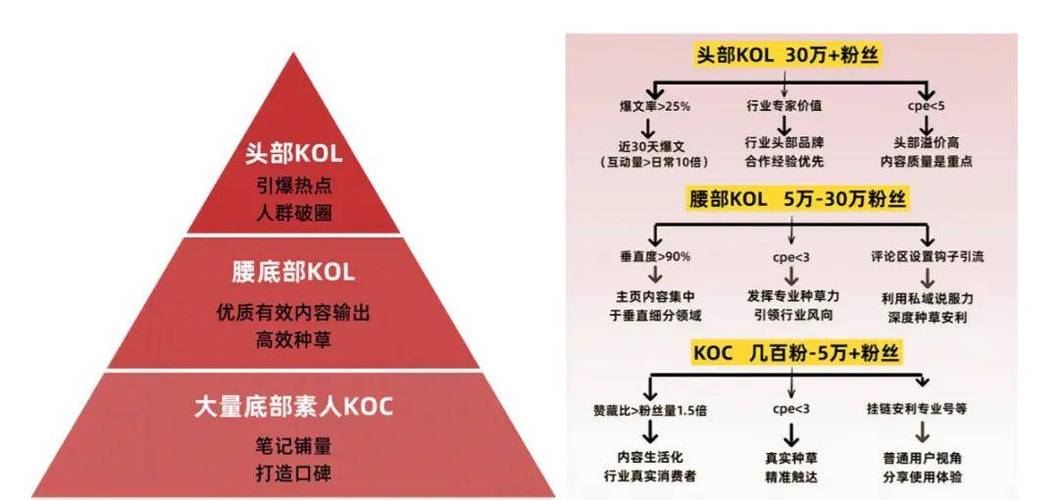 kol投放