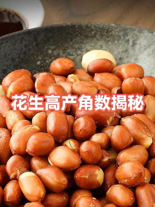 花生100克大概多少颗图标
