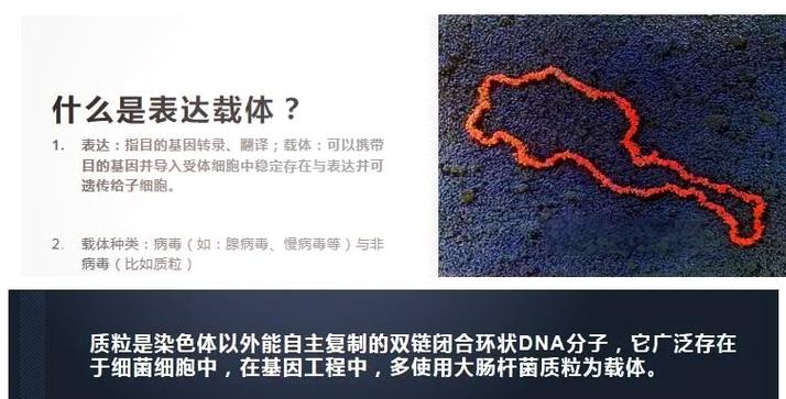 DNA8.8.8图标