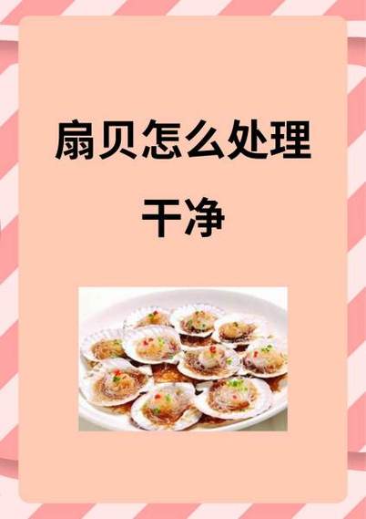 扇贝的处理方法截图