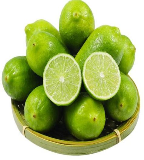 lemon青柠什么意思图标