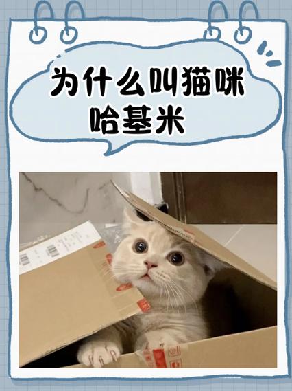 哈基米和喵喵叫有什么区别截图