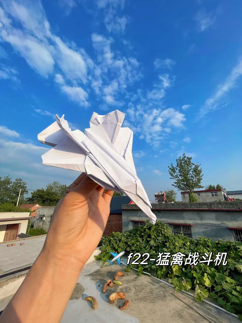 折纸f22猛禽战斗机图标