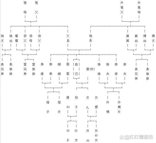 曹邦兴兄妹关系图图标