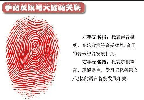 手圈圈代表什么意思图标