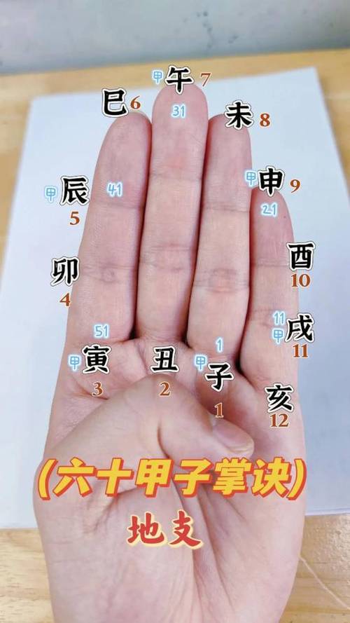 手指占卜法截图